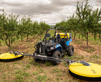 Sprayers for tree and bush crops such as fruit, olive trees or vineyards
