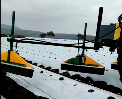 Sprayers for tree and bush crops such as fruit, olive trees or vineyards