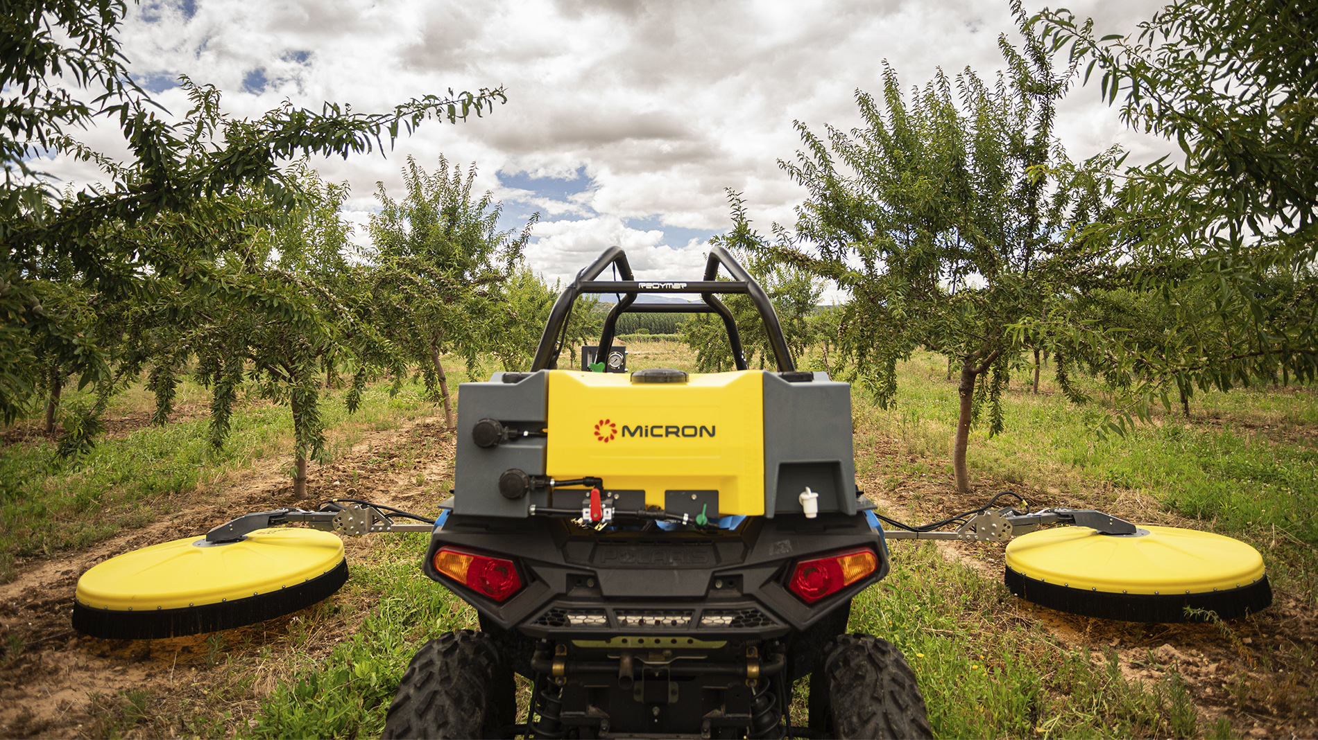 Sprayguard sprayer for treating olive trees and mature trees with ...