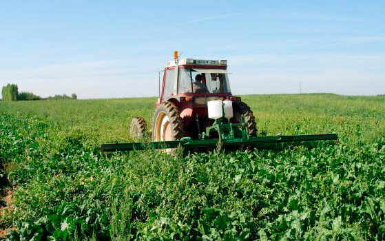 Weedwiper sprayer to eliminate weeds in vulnerable crops